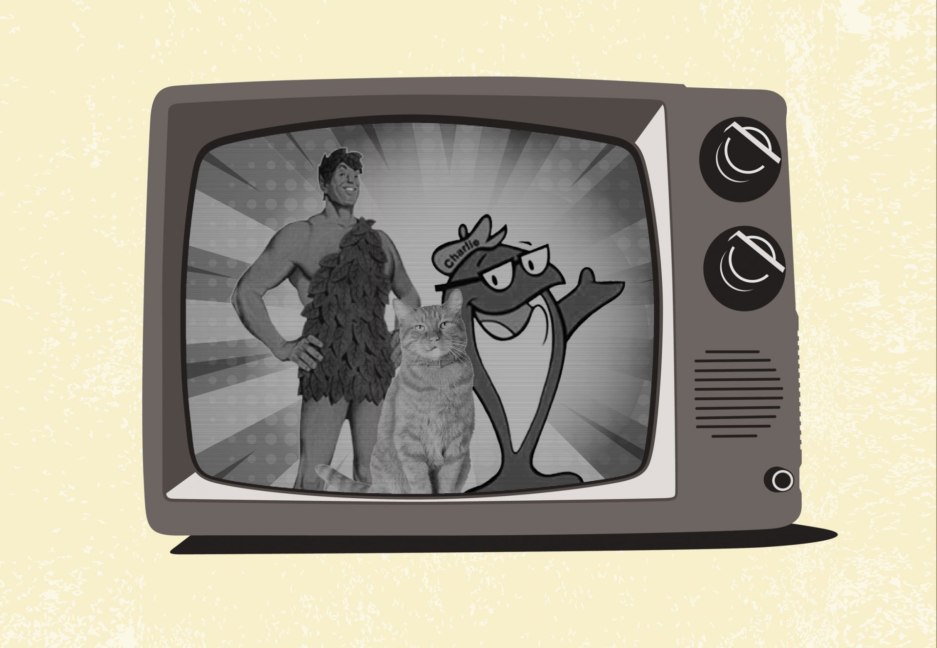 The Marvelous Life Of The Little Utz Girl • PopIcon.life