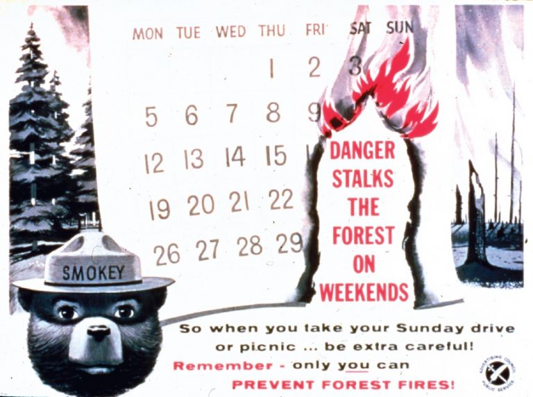 Smokey Bear Turns 75! Why The Wildfire Icon Matters Now More Than Ever ...