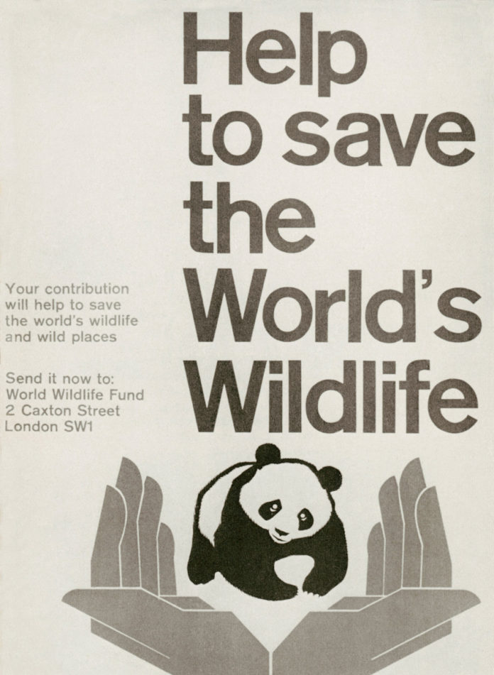 The Panda Behind the World Wildlife Fund’s Logo | PopIcon.life